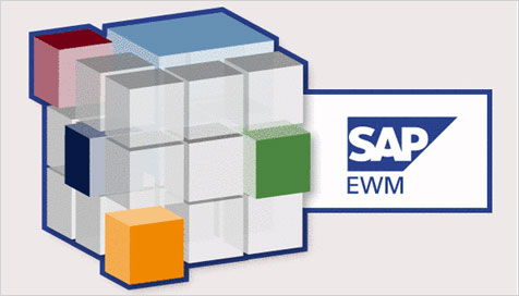sap2 – ASUGMEX